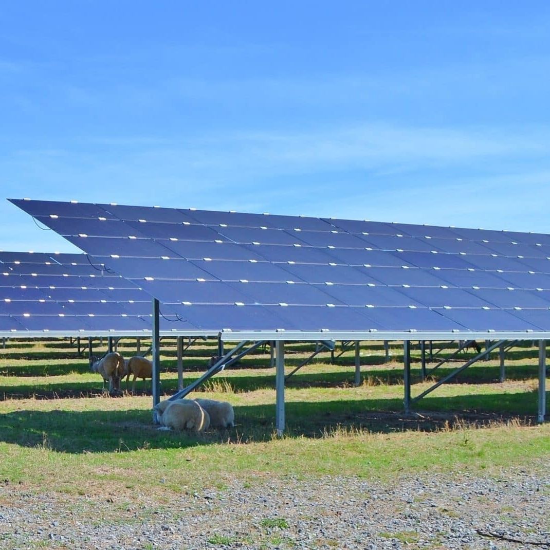 Ombrière agrivoltaïque d'élevage - PHOTOSOL