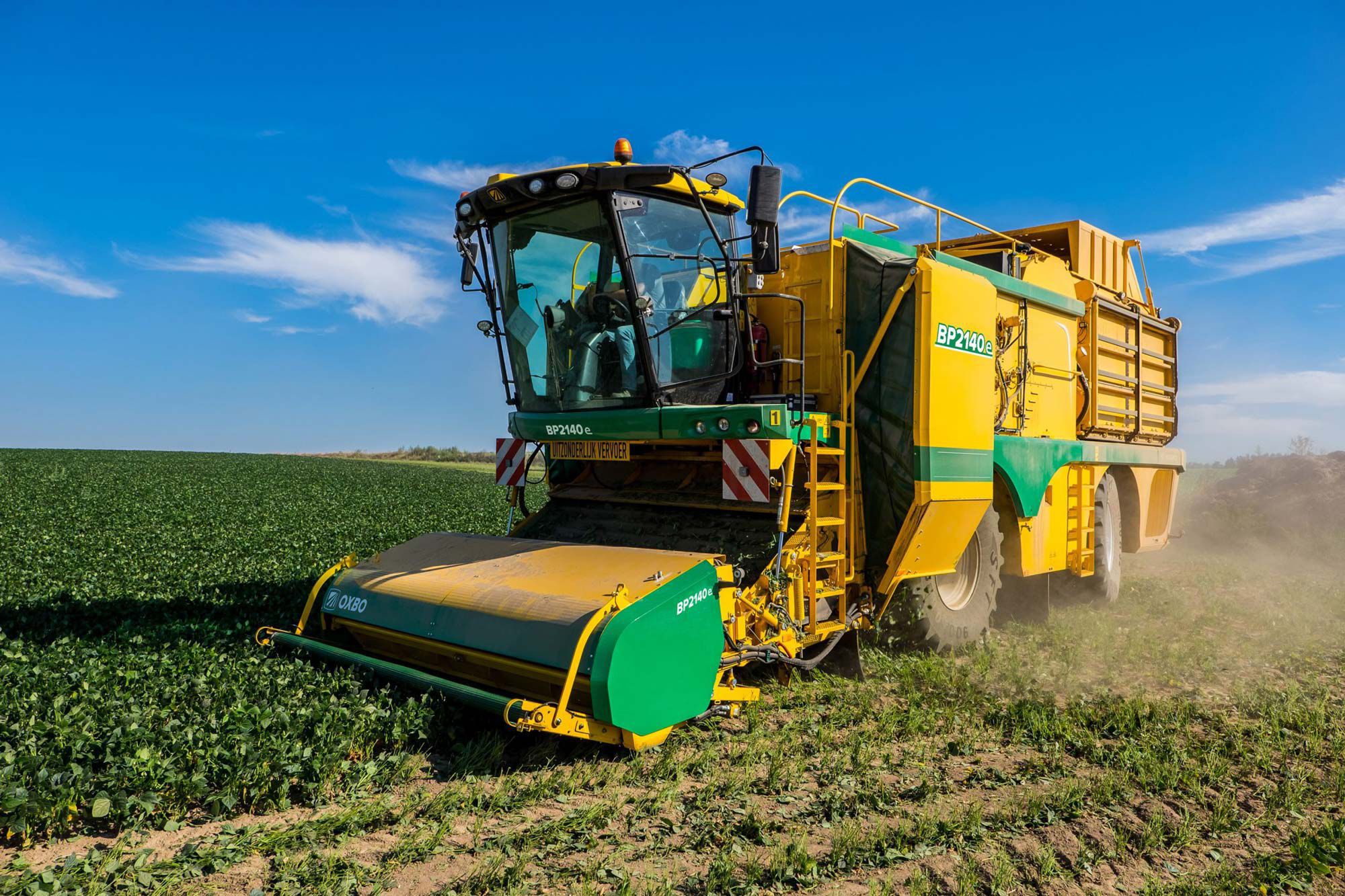 Récolteuse à haricots - BP2140E - Oxbo - automotrice