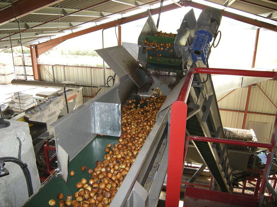 Trieur de fruits - LEGER - de fruits à coques / automatique / avec ...