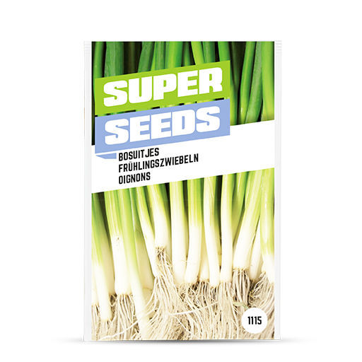 Semence d'oignon de printemps - 1115 - BAZA Seeds Holland b.v.