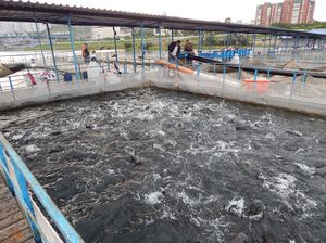 Filet d'aquaculture anti-prédateurs - Tous les fabricants de l'agriculture