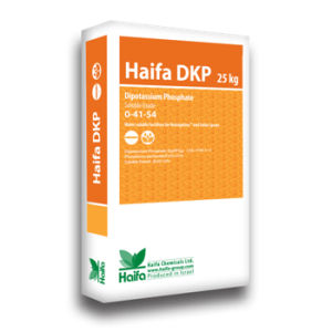 Engrais minéral - DKP™ - Haifa North West Europe - PK / granulé / pour ...