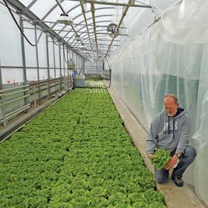 Système de culture hors sol sur radeau flottant - Beaver Plastics Ltd