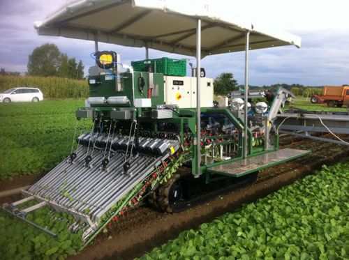 Récolteuse à radis - Fully - Koppert Machines - automotrice / à 4 rangs