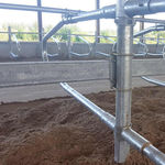 Logette, Logette bovin - Tous les fabricants de l'agriculture