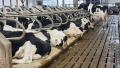 Promat Inc. - Information and distributors around the world - Agriexpo