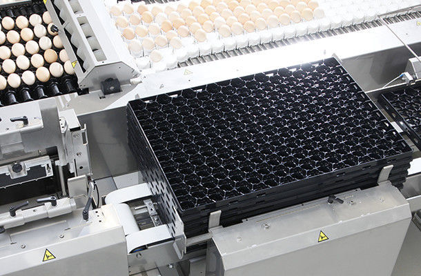 Hatching egg egg transfer system - Pas Reform Hatchery Technologies