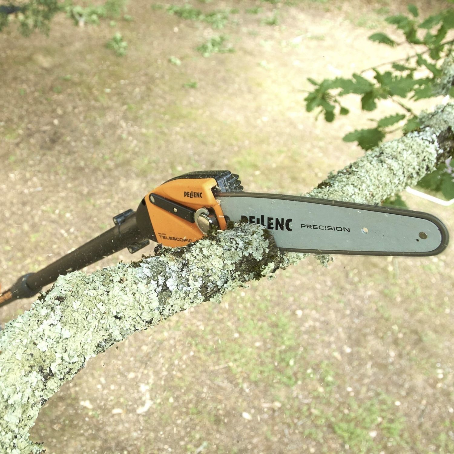 Telescopic pole saw - SELION EVO - Pellenc - battery-powered ...