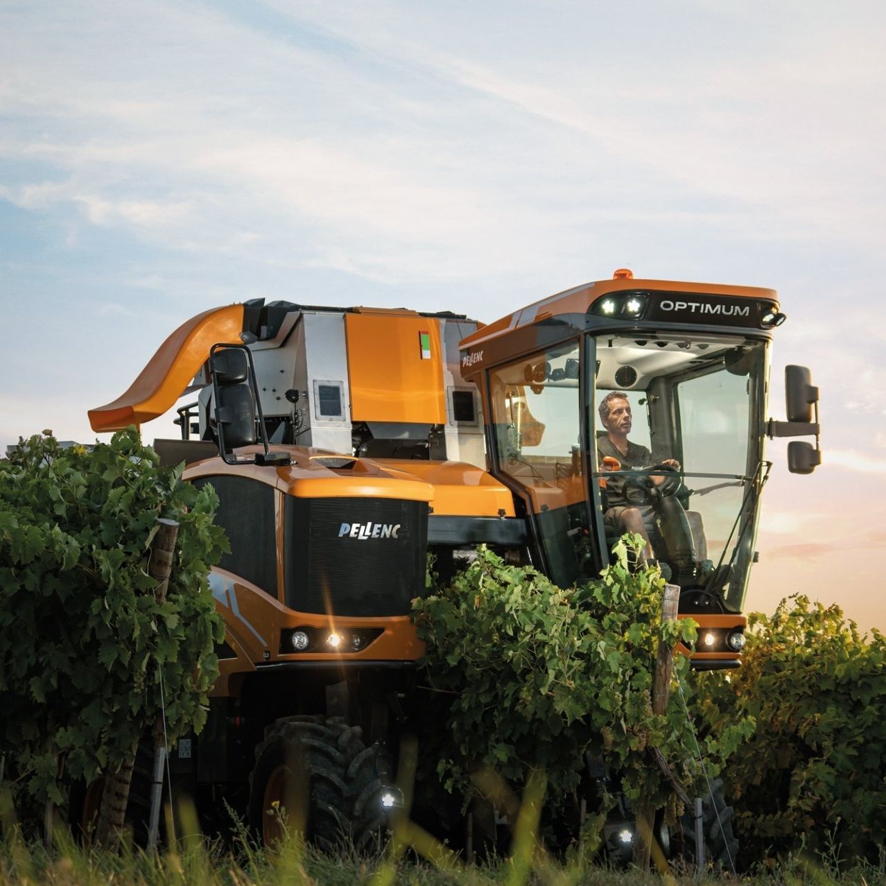 Self-propelled grape harvesting machine - OPTIMUM - Pellenc - high capacity