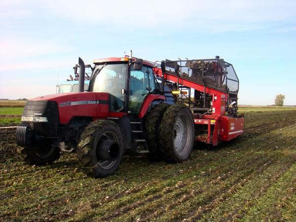 Sugar beet harvester - 2300/2400/2500 - Amity Technology LLC - tractor ...