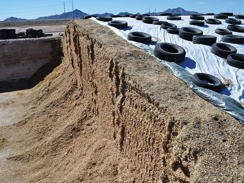 Silage film - AgFlex Premium® - AT Films Inc. - polyethylene / multilayer