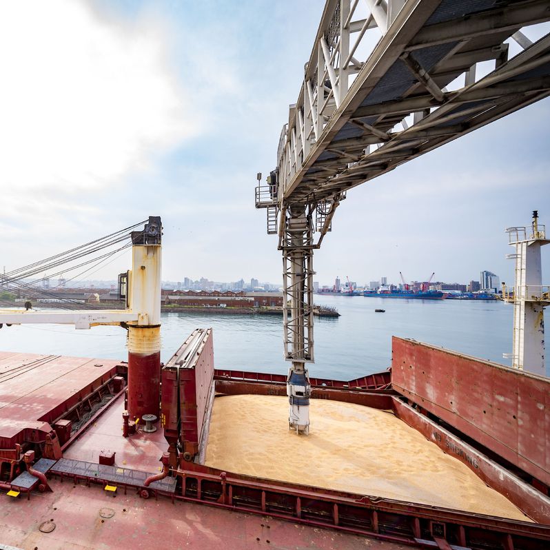 Bulk carrier ship unloader - Portaload ™ - Bühler Group - for grains