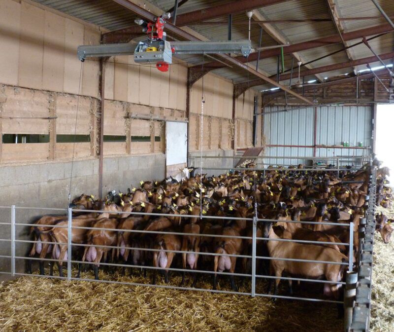 Electrically-actuated crowd gate - CEB - Silofarmer