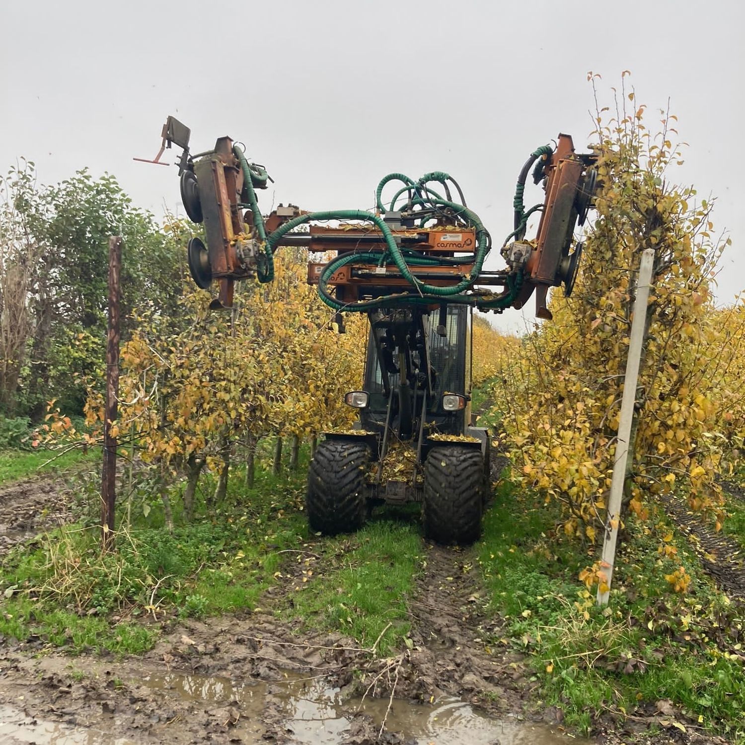 Arboriculture pruning machine - Cosmos 300DC - COUP'ECO - tractor ...