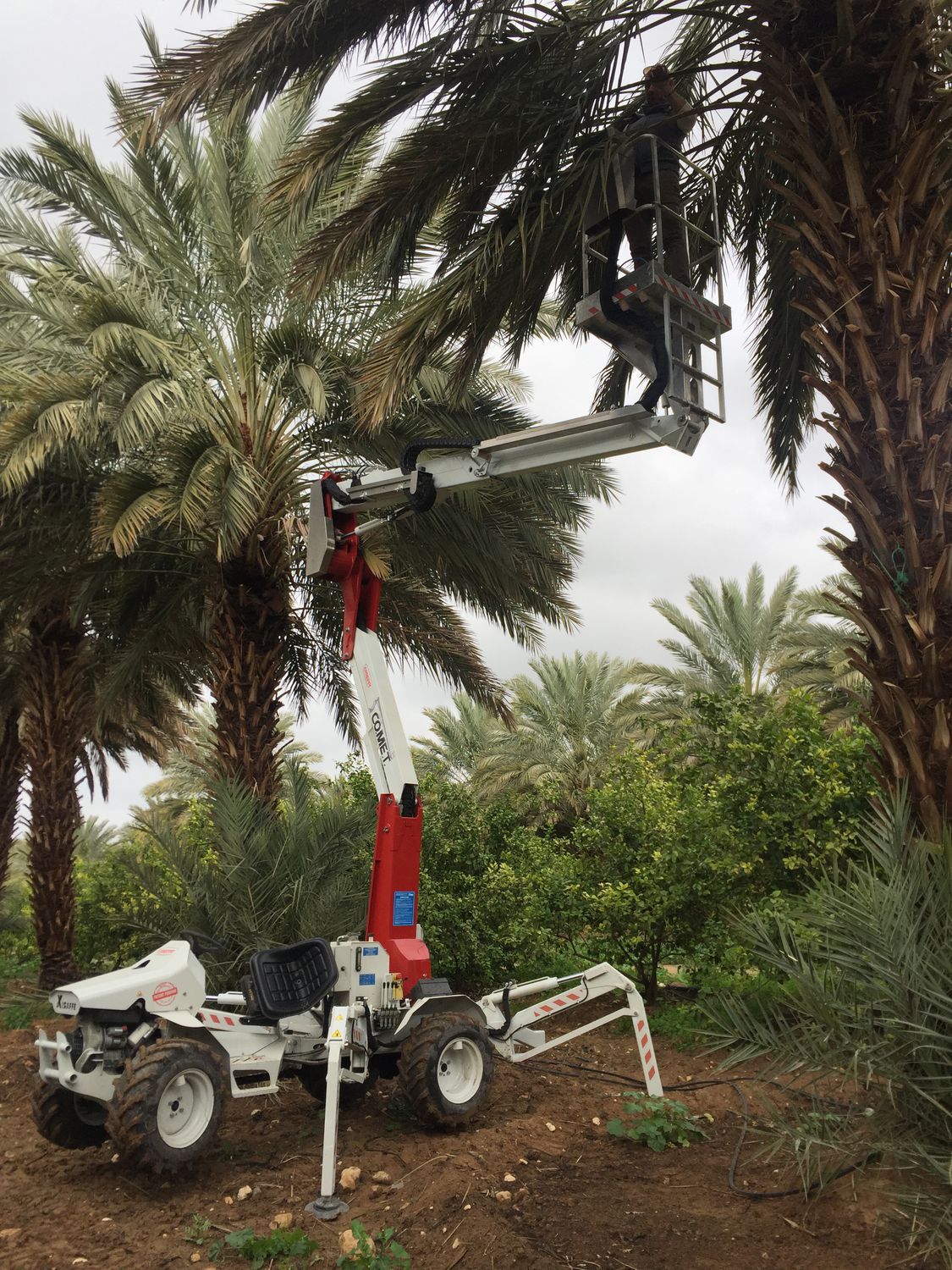 Pruning aerial platform - XIRAFFE - ERREPPI Srl - articulated