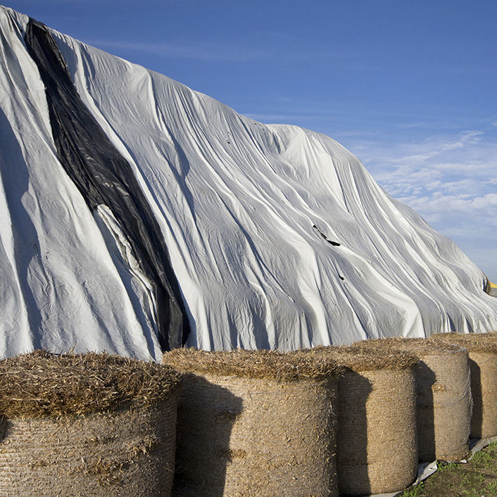 Black sheeting - EUROFILATI Srl - silage / plastic / polyethylene
