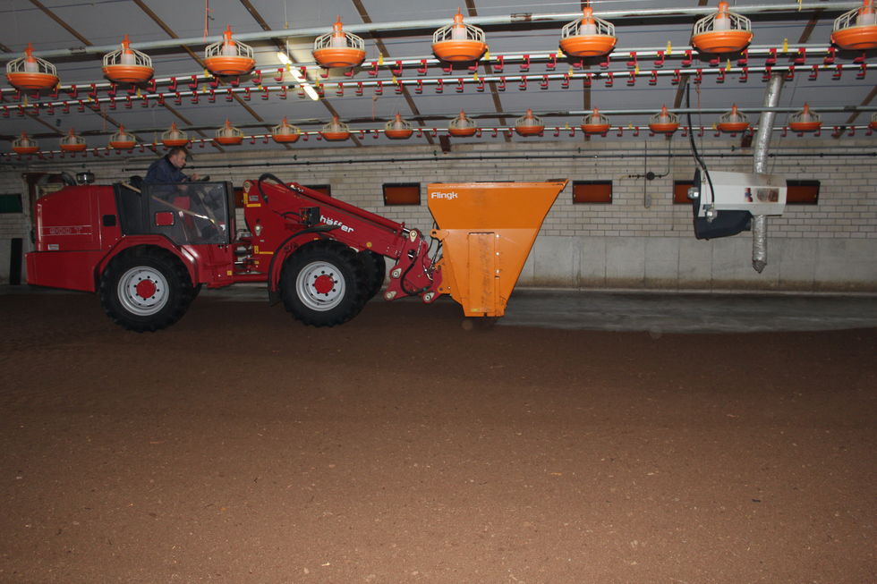 Mounted straw bedder - OL - Flingk Machinebouw B.V. - for sawdust ...