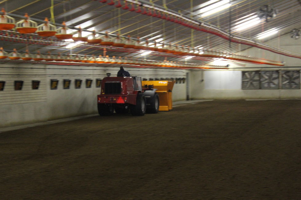 Mounted straw bedder - OL - Flingk Machinebouw B.V. - for sawdust ...