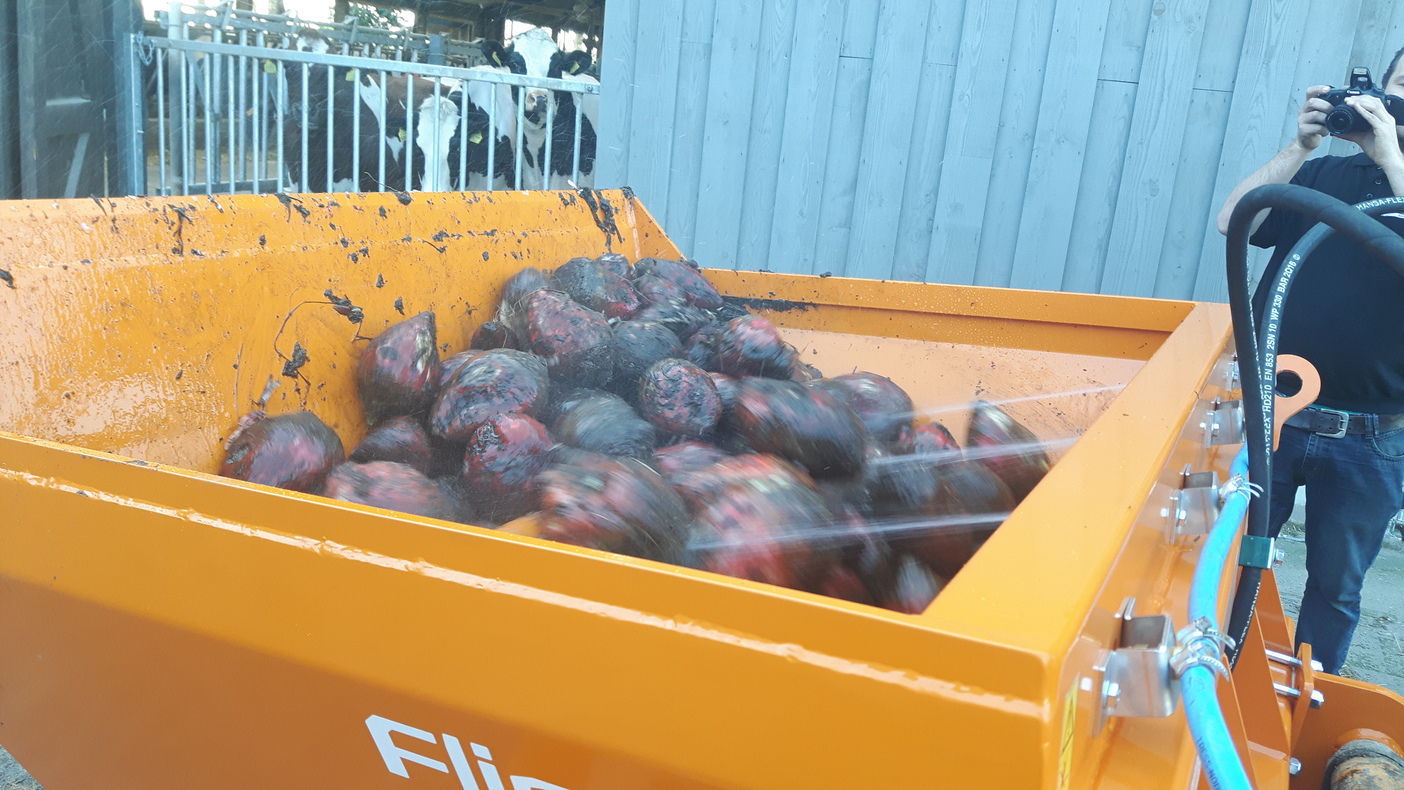 Beet cleaner-loader - BRS Series - Flingk Machinebouw B.V. - mounted