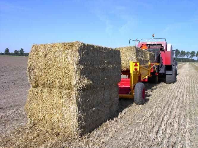 Rectangular bale stacker - Flintstone - Meijer Holland - self-unloading