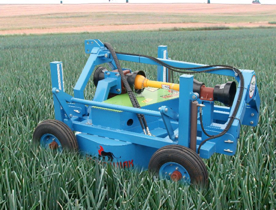 Onion haulm topper - Z801 - K.F.M.R. Sp. z o.o. "KRUKOWIAK" - 1-row