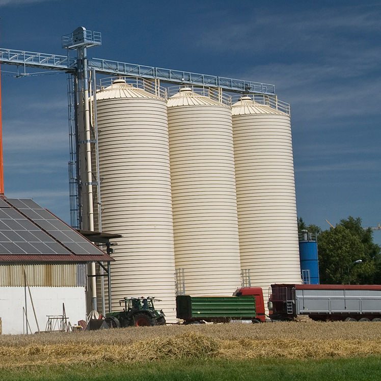 Grain silo - Lipp GmbH - for animal feed / stainless steel / round