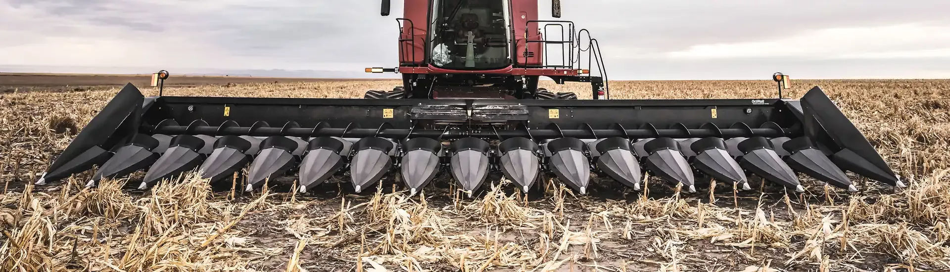 Corn head - C Series - MacDon Europe GmbH - rigid / with hydraulic ...