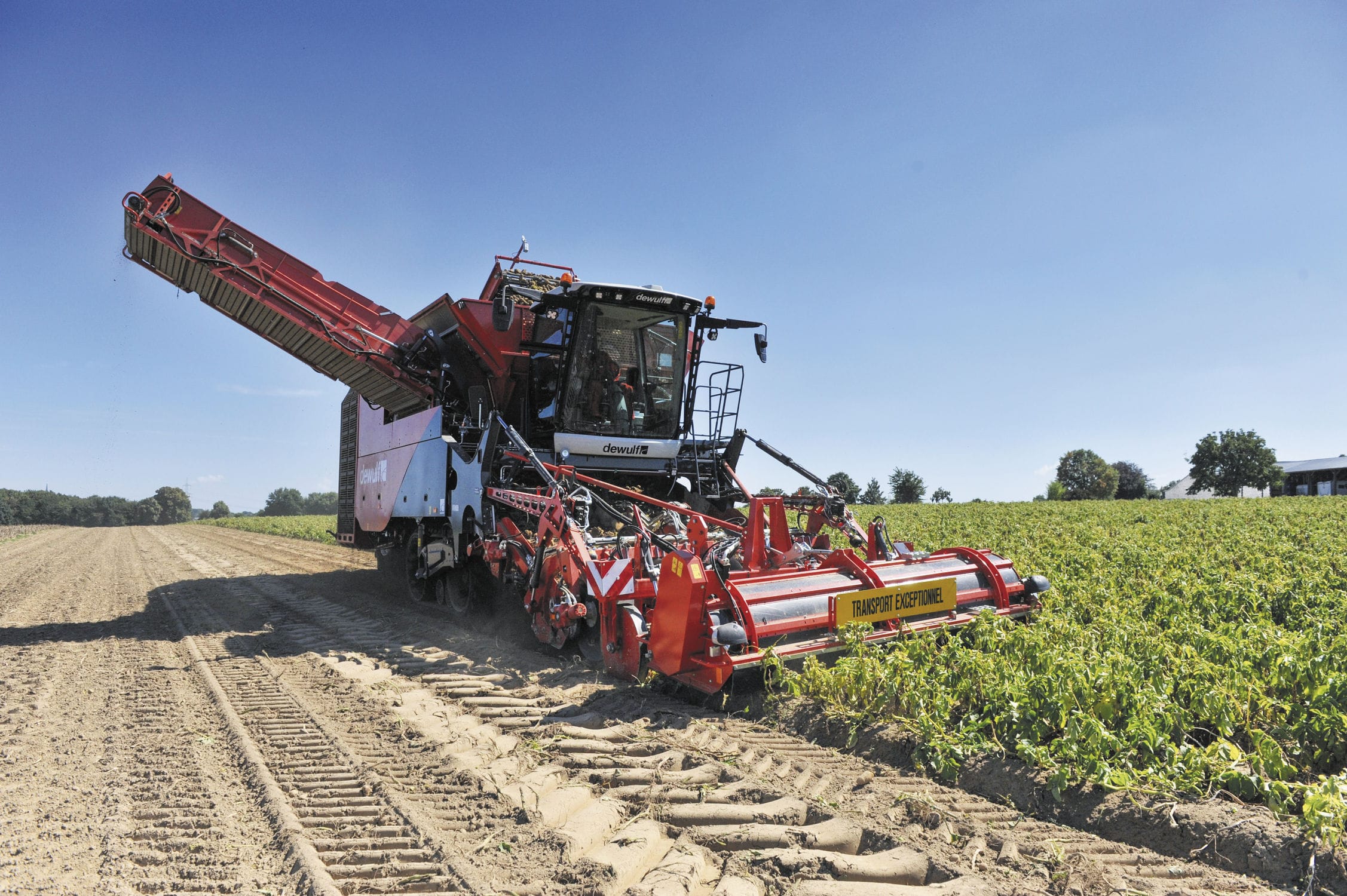 Potato harvester machine - Kwatro - Dewulf Group - carrot / self ...