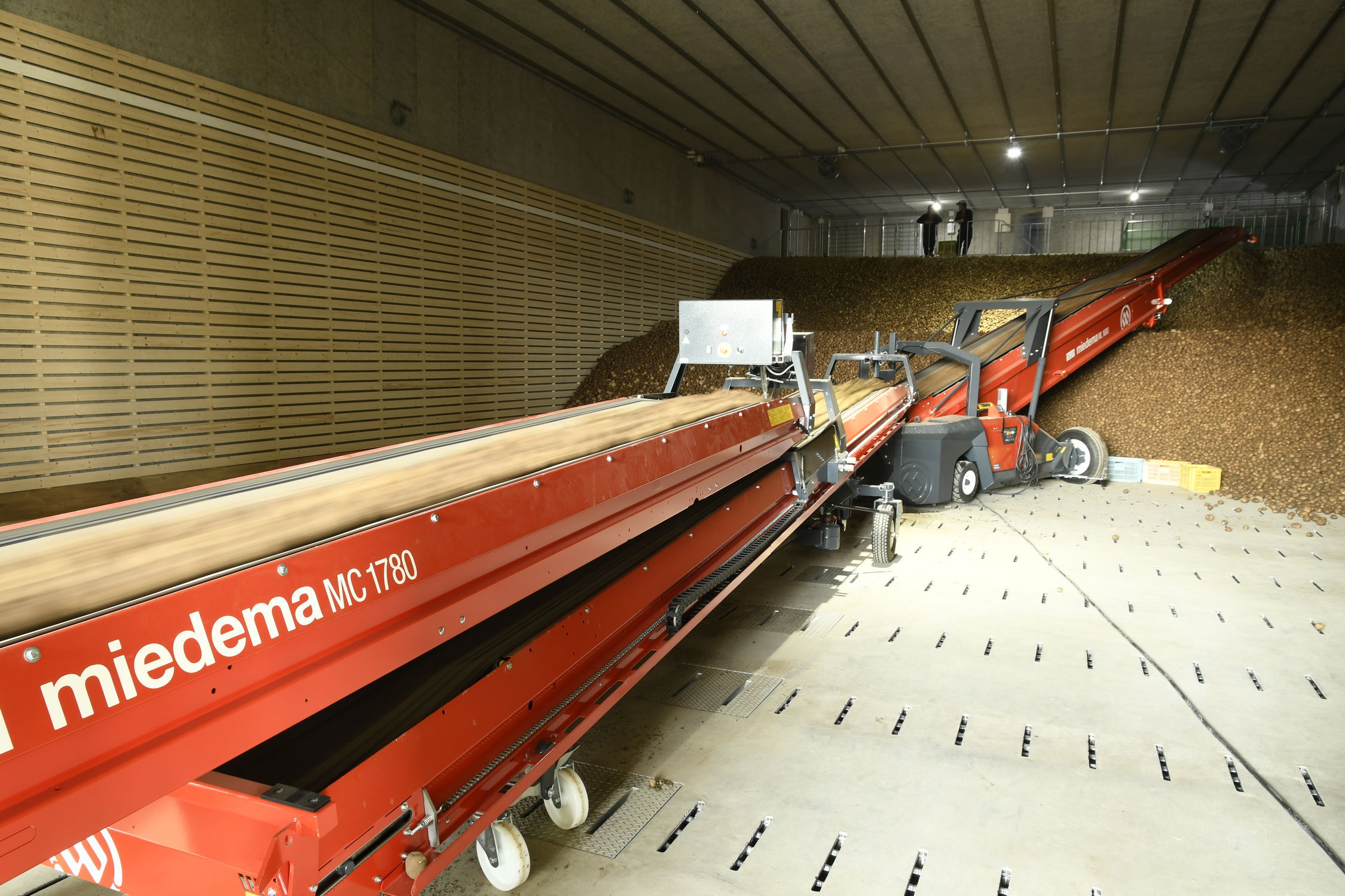 Grain conveyor - MC 80 Duo - Dewulf Group - potato / for vegetables / belt