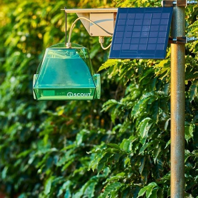 Insect trap - iSCOUT® - Pessl Instruments GmbH - electric