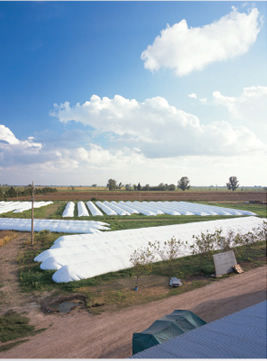 Extendable silo bag - Plastar Silo Bags