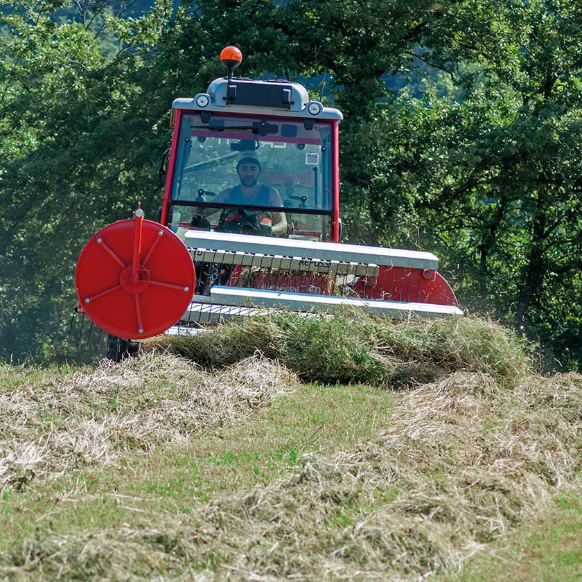 Rotary rake - 90/5 - Repossi macchine agricole s.r.l. - side delivery