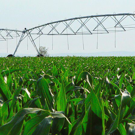 Center irrigation pivot - RKD Irrigacion - with slip ring