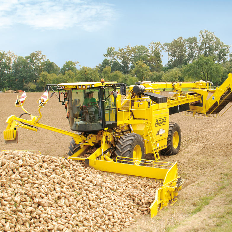 Beet cleaner-loader - euro-Maus 3 - ROPA Fahrzeug- und Maschinenbau ...