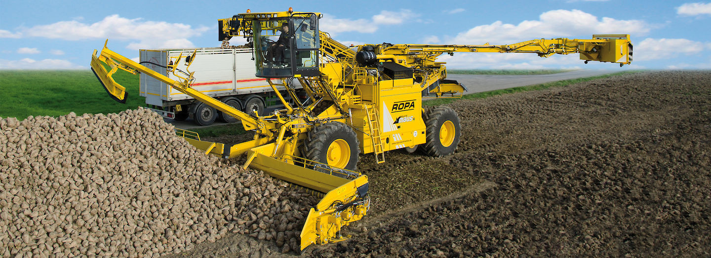 Beet cleaner-loader - euro-Maus 4 - ROPA Fahrzeug- und Maschinenbau ...