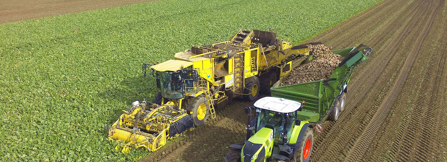 Beet cleaner-loader - Tiger 5 - RACCOON - ROPA Fahrzeug- und ...