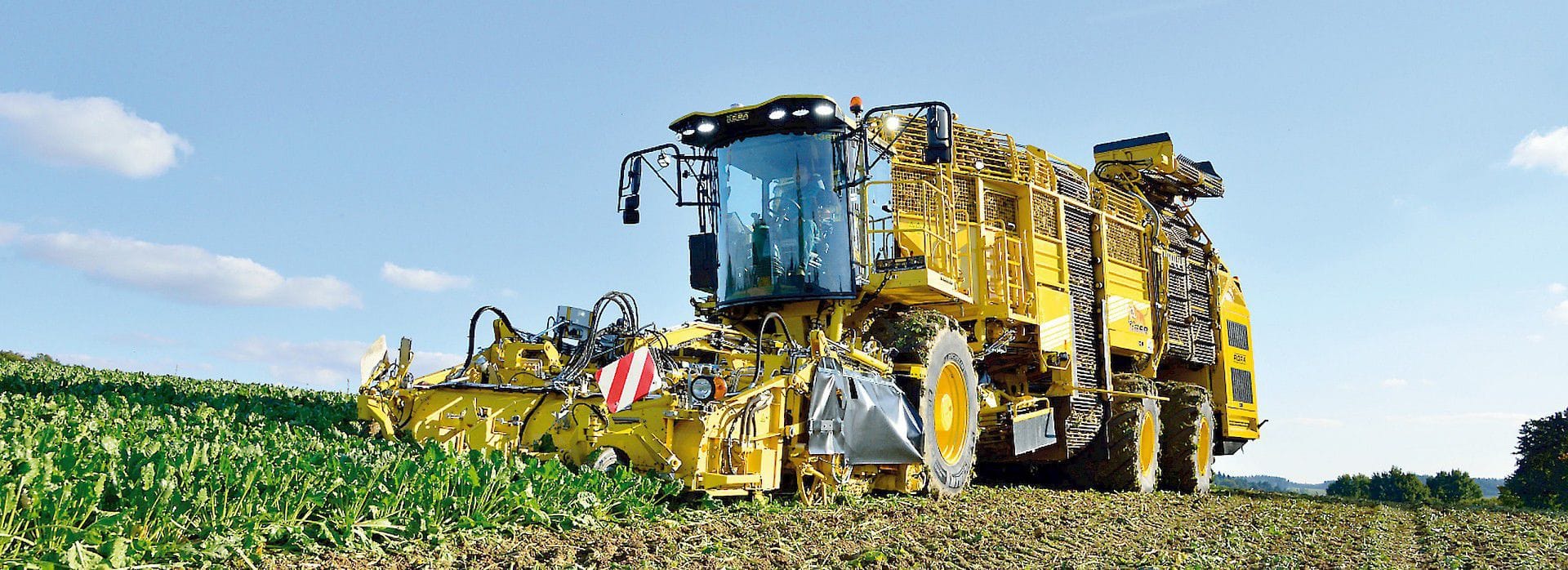 Beet harvester machine - Tiger 5 - ROPA Fahrzeug- und Maschinenbau GmbH ...