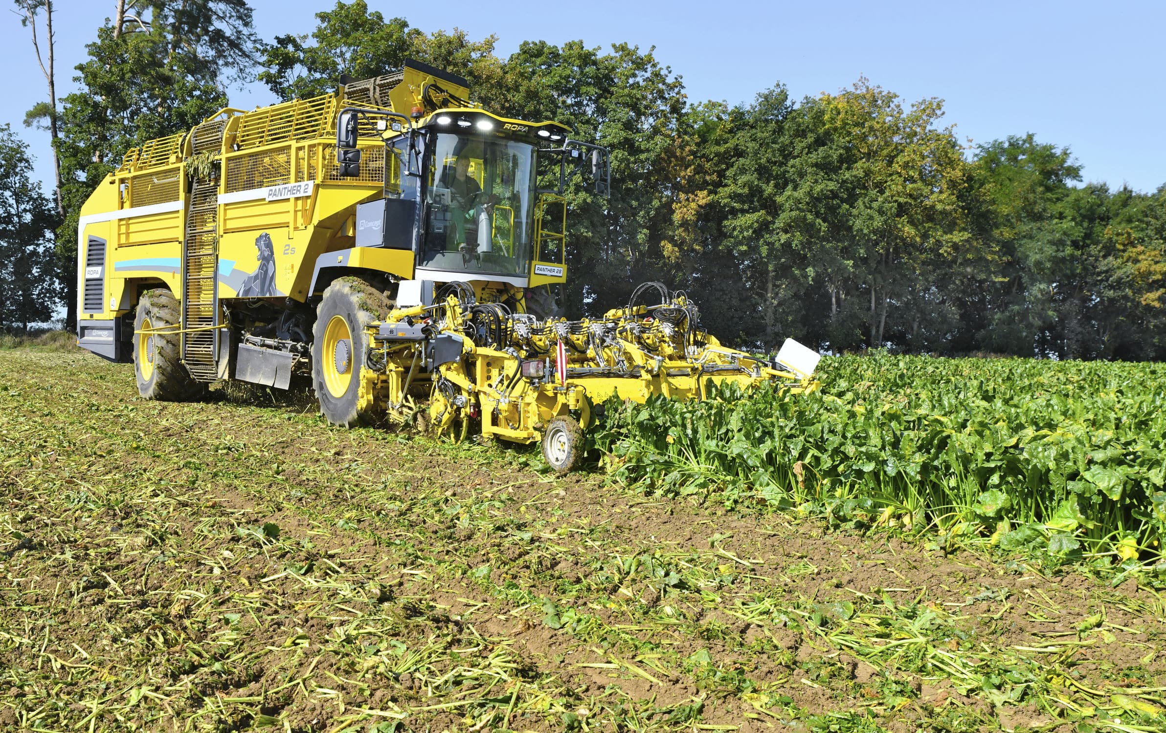 Sugar beet harvester machine - PANTHER 2S - ROPA Fahrzeug- und ...