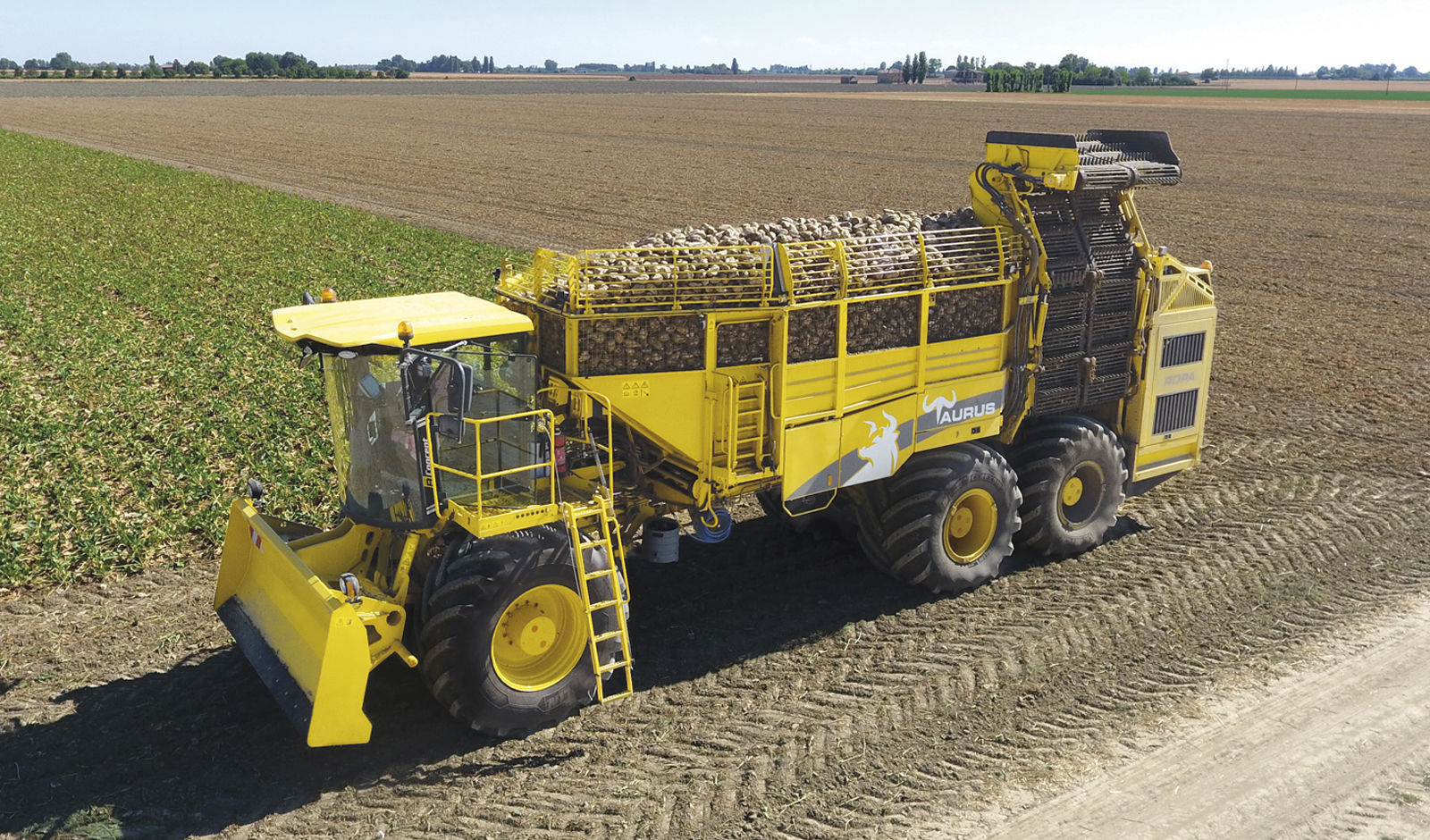 Beet cleaner-loader - Taurus - ROPA Fahrzeug- und Maschinenbau GmbH ...