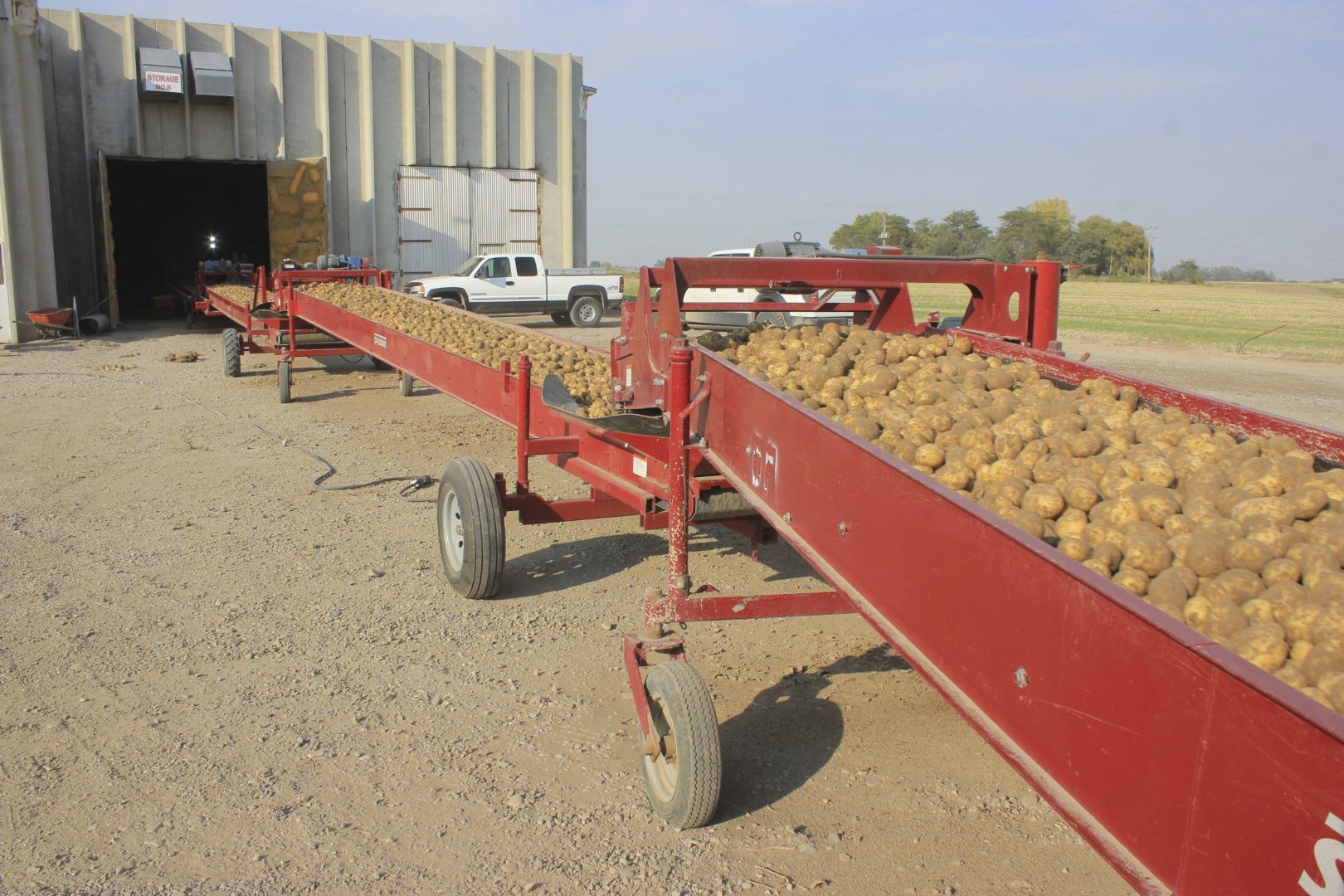Feed conveyor - 1200 - Spudnik Equipment Company LLC - potato / belt ...