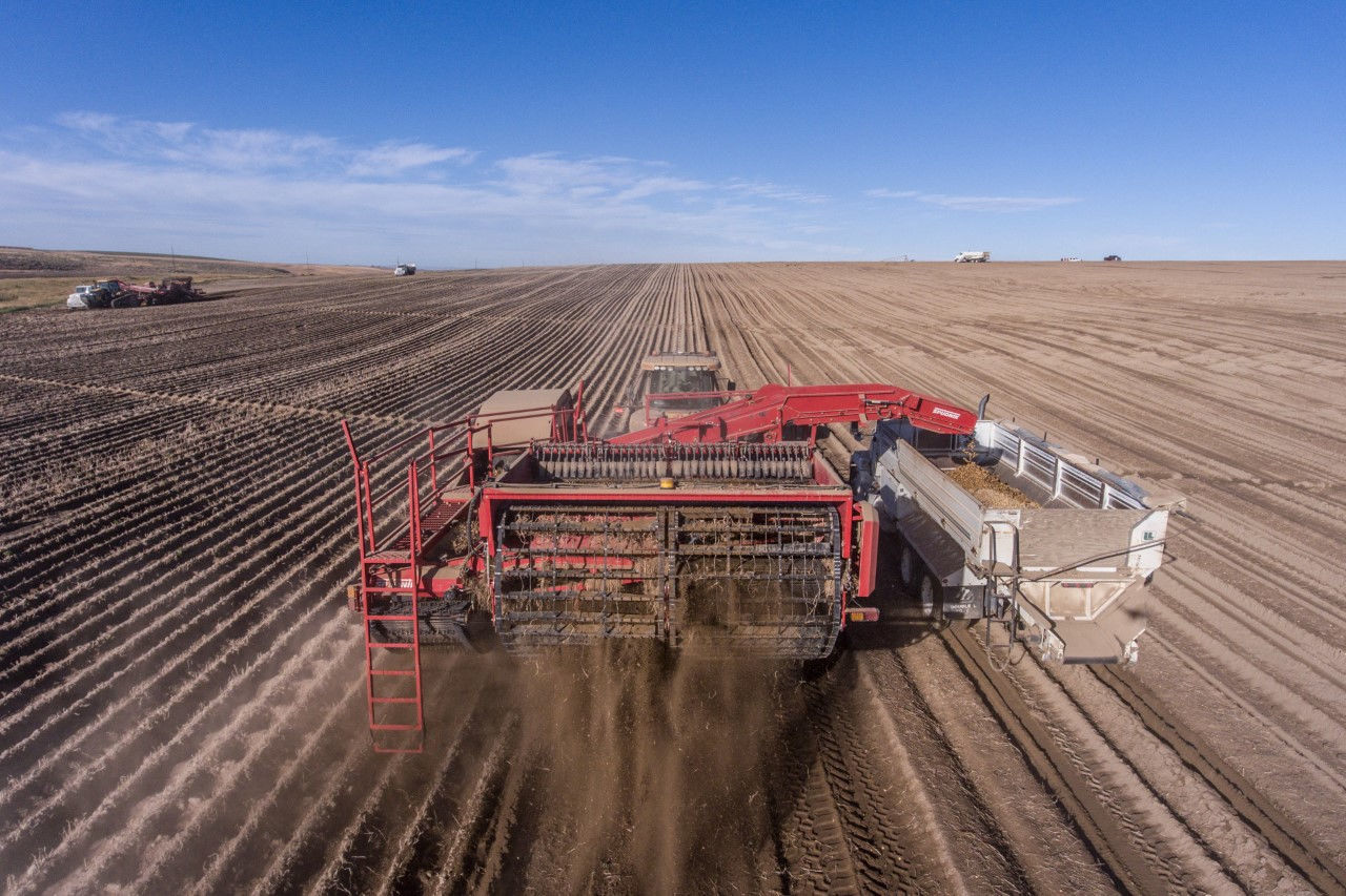 Potato Farming Equipment Tractor Suspended Equipment Potato Harvesting