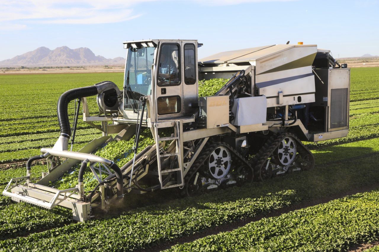 Baby leaf harvester machine - BBL-1000 - Spudnik Equipment Company LLC ...