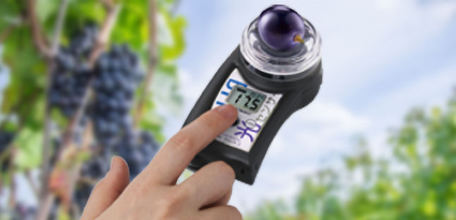 Infrared refractometer - 25031 - STEP Systems GmbH - sugar / for fruit ...