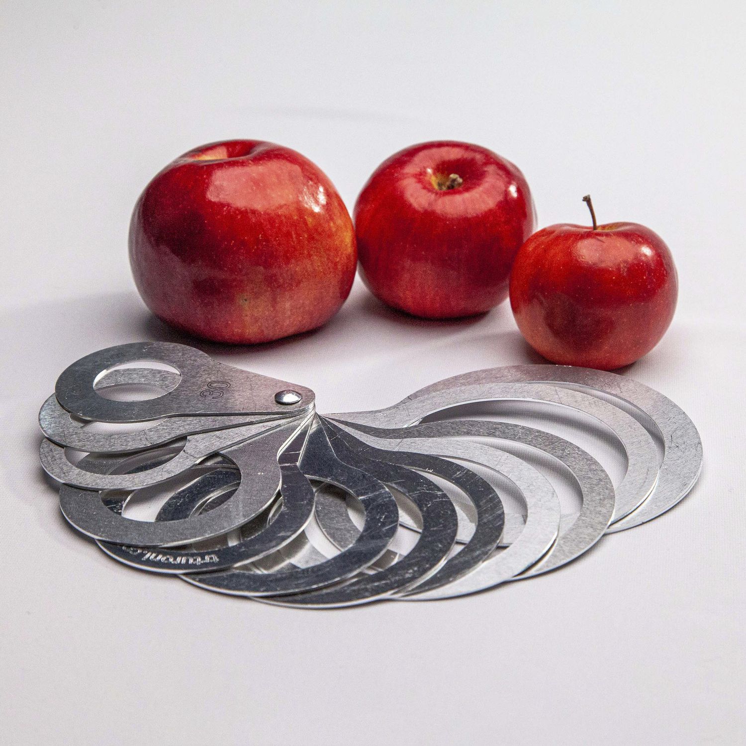 Fruit sorting gauge - 4501 series - STEP Systems GmbH - aluminum / ring