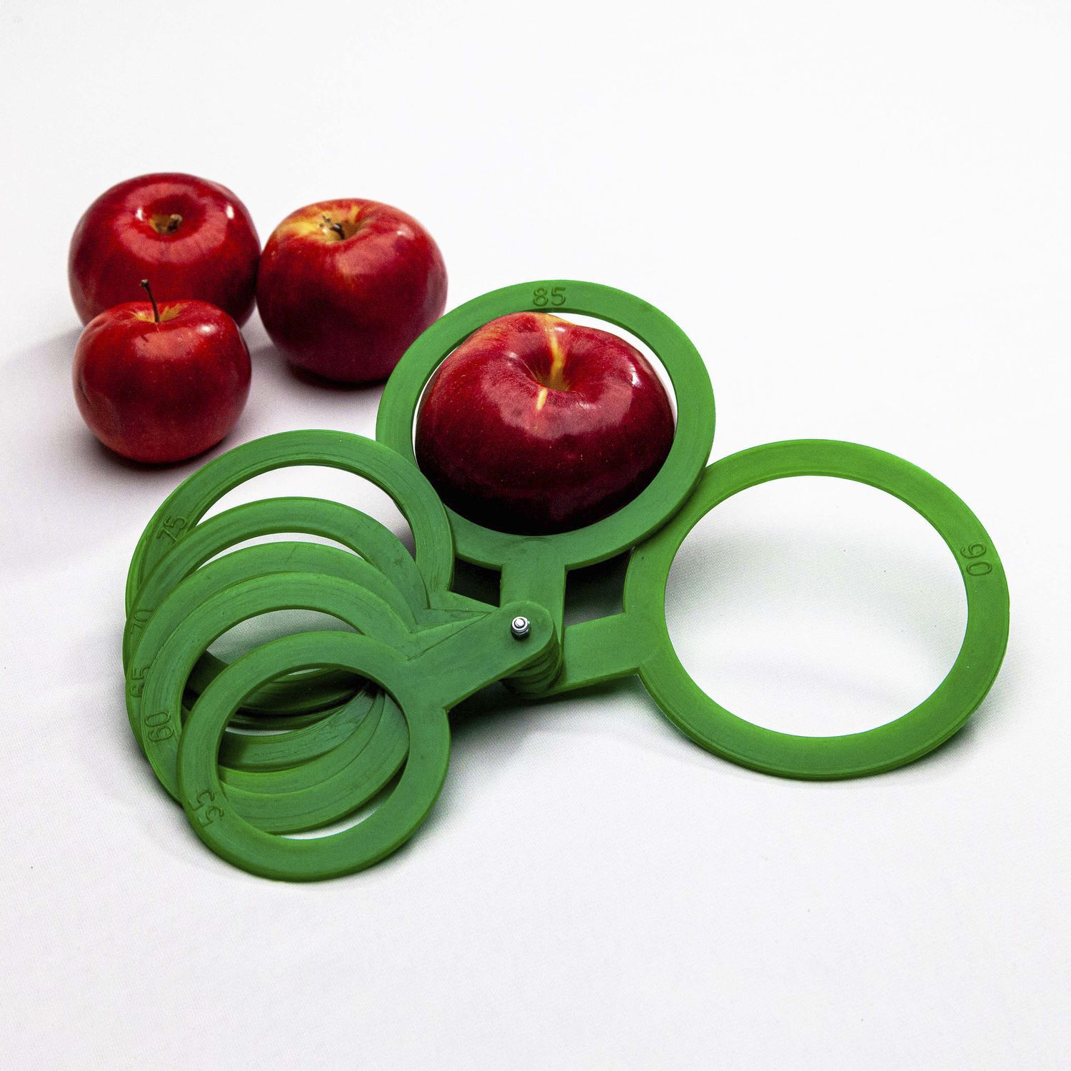 Fruit sorting gauge - 4501 series - STEP Systems GmbH - plastic / ring