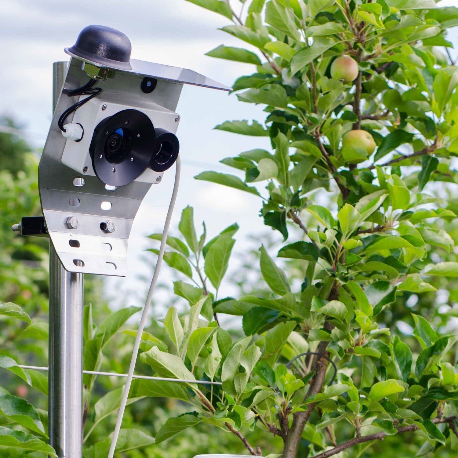 Surveillance camera - IMV30 - STEP Systems GmbH - for agriculture