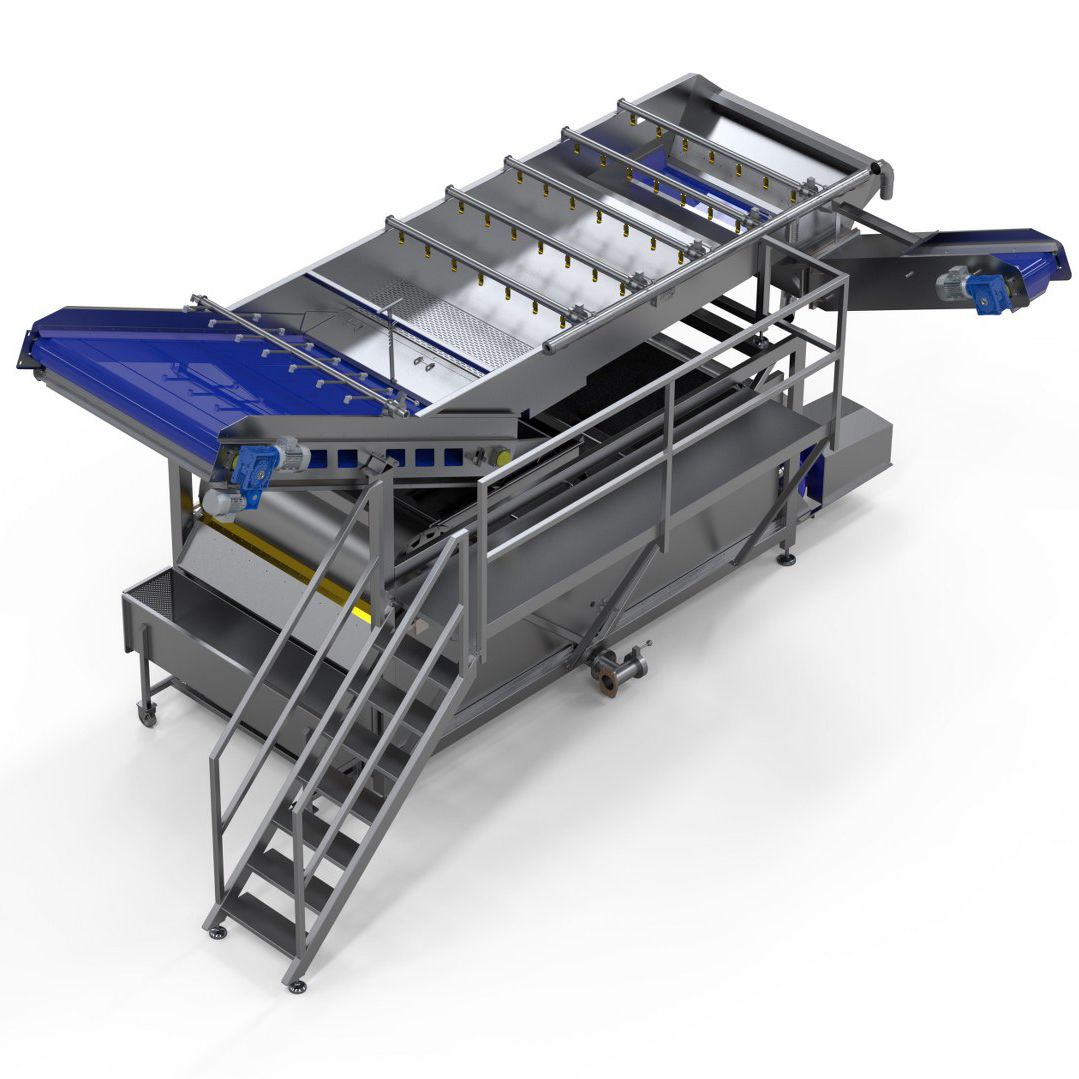 Green beans fruit washer - Sweere Agricultural Equipment - flotation