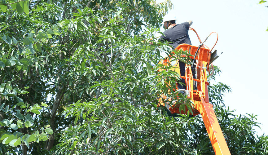 Orchard platform - STMP – 26 - Tirth Agro Technology Pvt. Ltd. - self ...