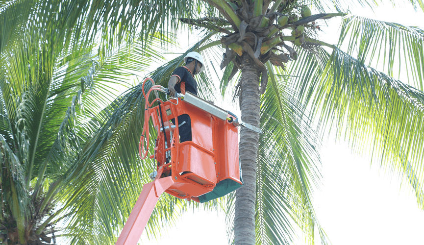 Orchard platform - STMP – 26 - Tirth Agro Technology Pvt. Ltd. - self ...