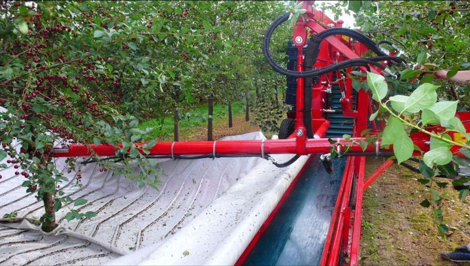 Trailed trunk shaker - MAJA - Weremczuk FMR Sp. z o.o. - hydraulic ...